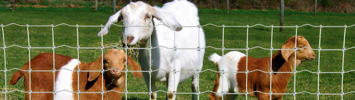 American Fence & Supply Co.: STAY-TUFF 1348-4-330 4x4x48"x330'class 1