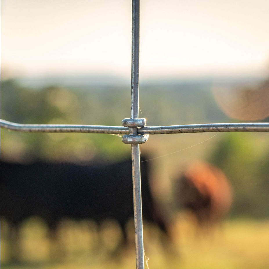 American Fence & Supply Co.: STAY-TUFF 2x4x5'x200 hightensile sq.knot