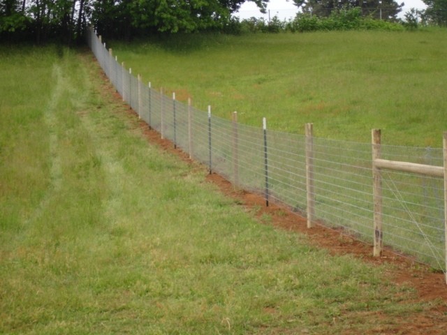 T-Posts Field Fencing Made Easy McCoy's Building Supply, 56% OFF